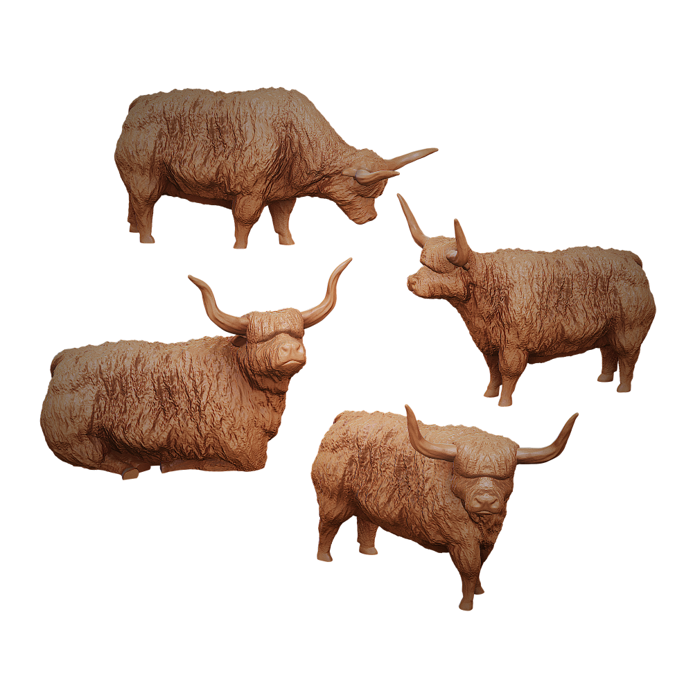 Highland Cows – Iron Gate Scenery