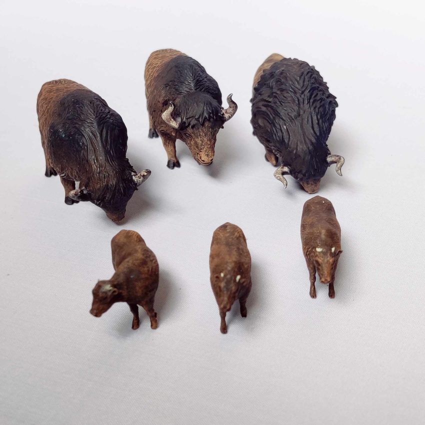 Bison – Iron Gate Scenery