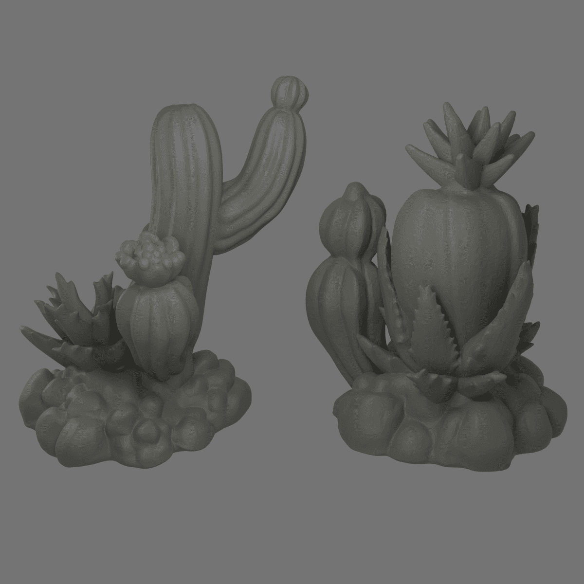 Cactus – Iron Gate Scenery
